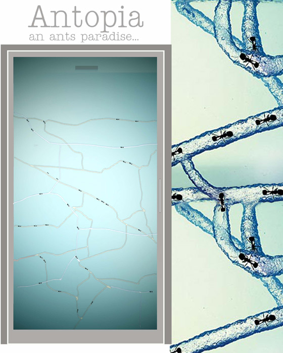 antopia | designboom.com