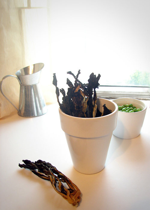 a fresh pot | designboom.com