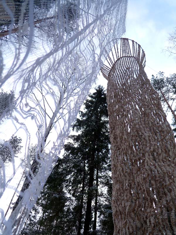 winter forest | designboom.com