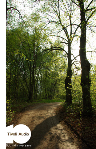 forest | designboom.com