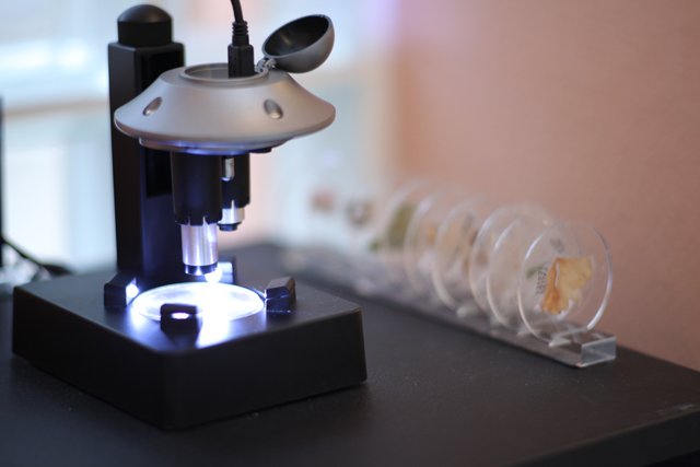 micro symphony | designboom.com