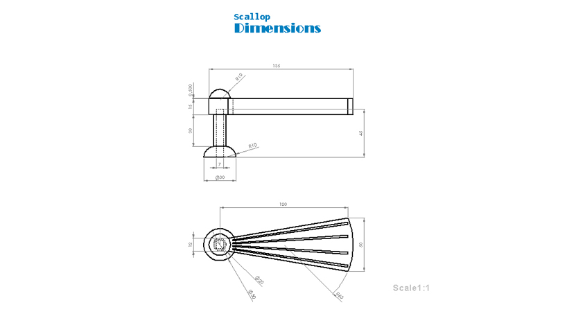 Scallop | designboom.com