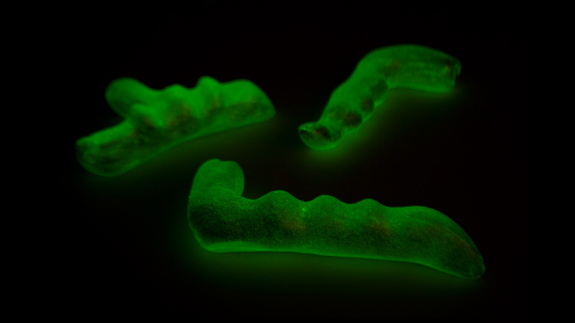 Vitrea | designboom.com