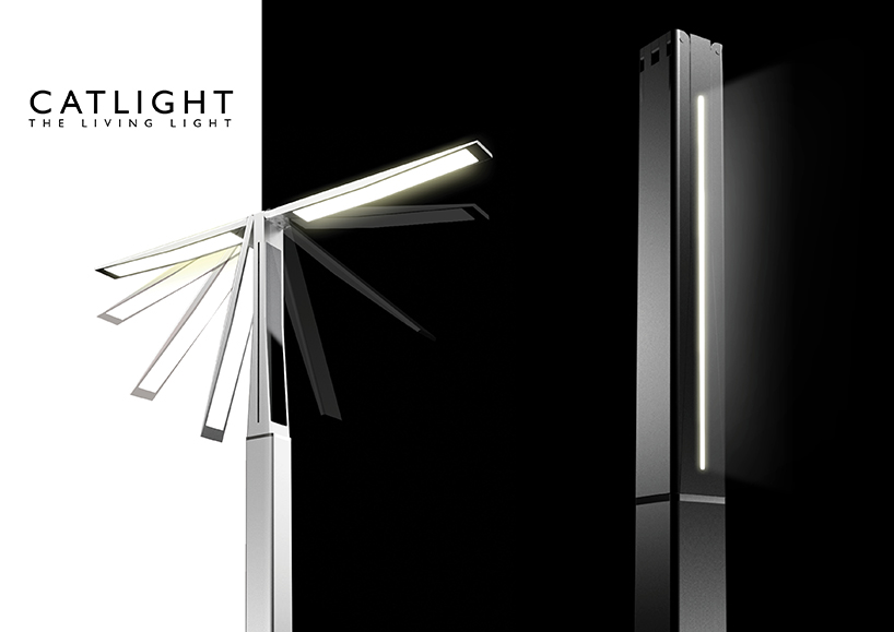 CATLIGHT | designboom.com