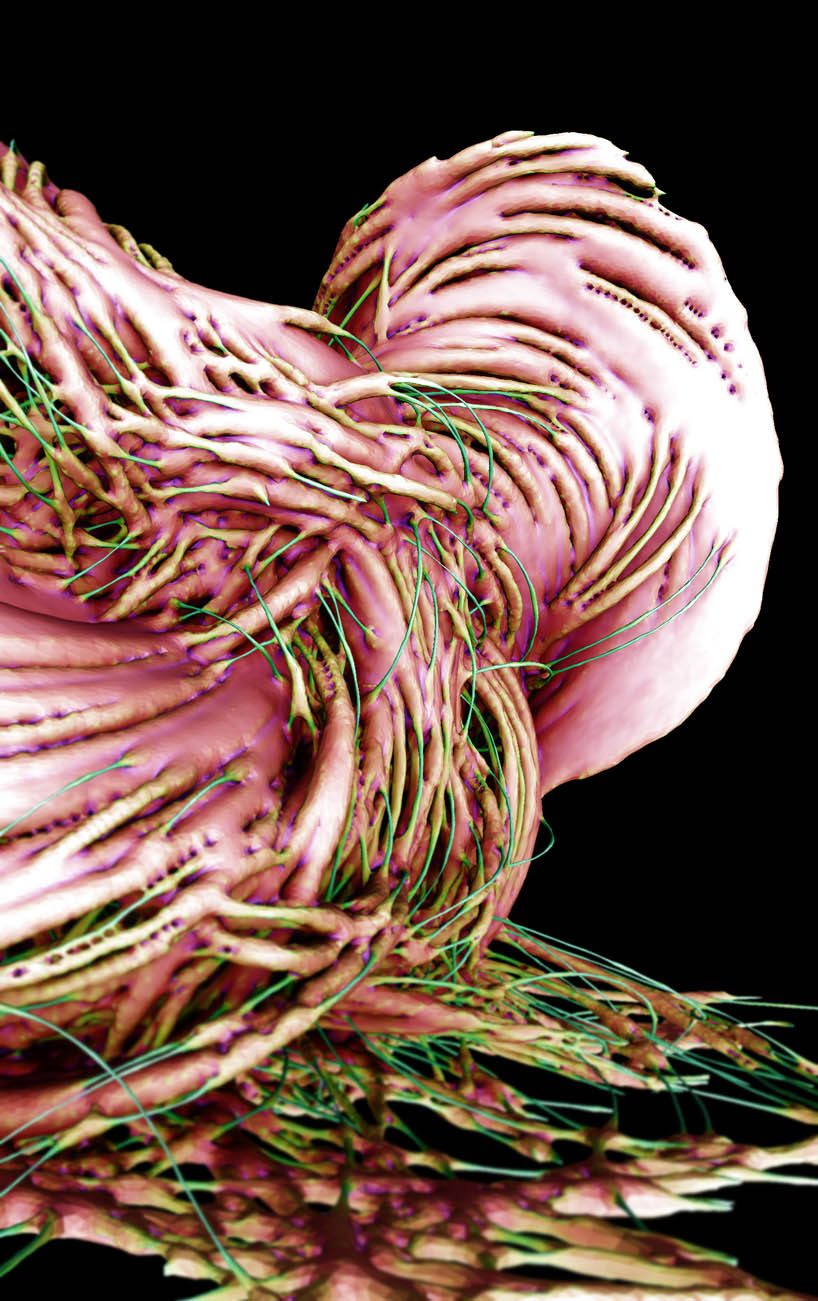 Geofacts | designboom.com