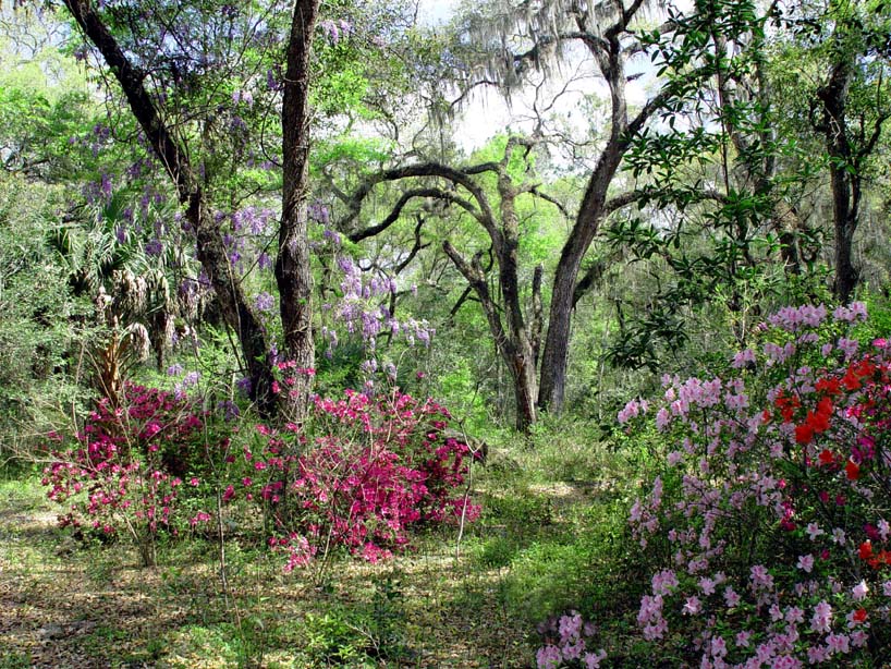 Celebrating the Continuance of Life | designboom.com