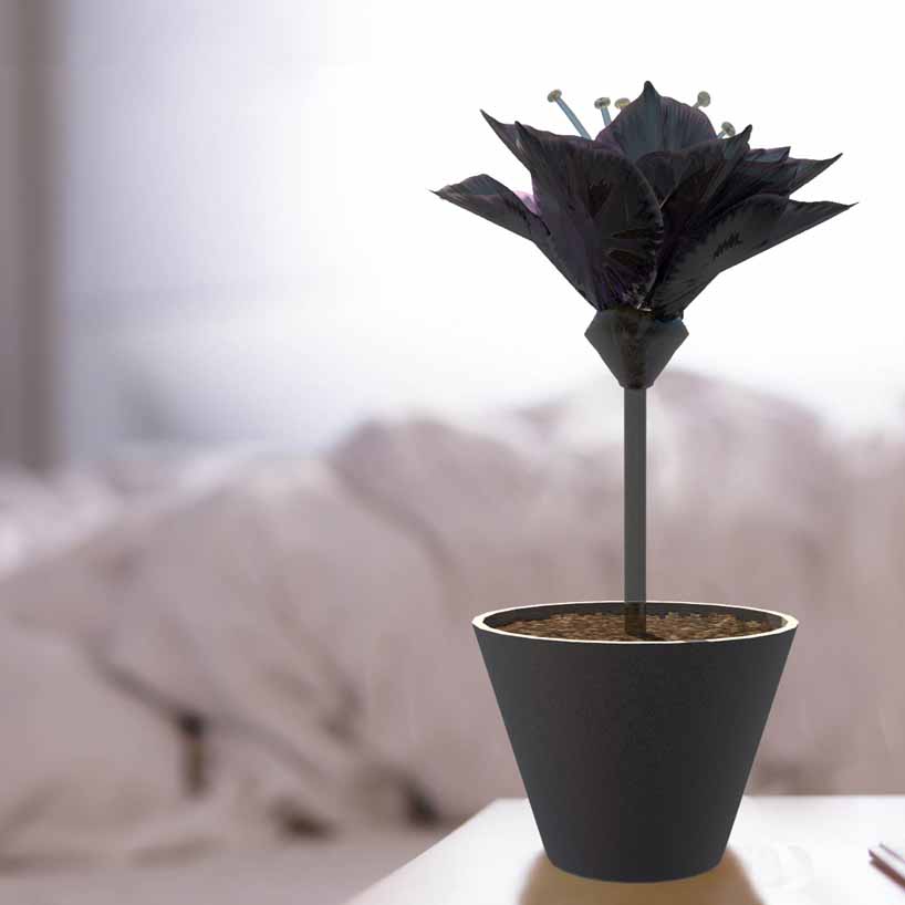 D-day flower | designboom.com