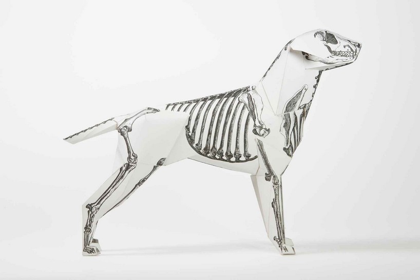 lazerian: gerald paper dog project