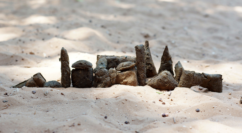 play with poop - 3D printed disposable waste