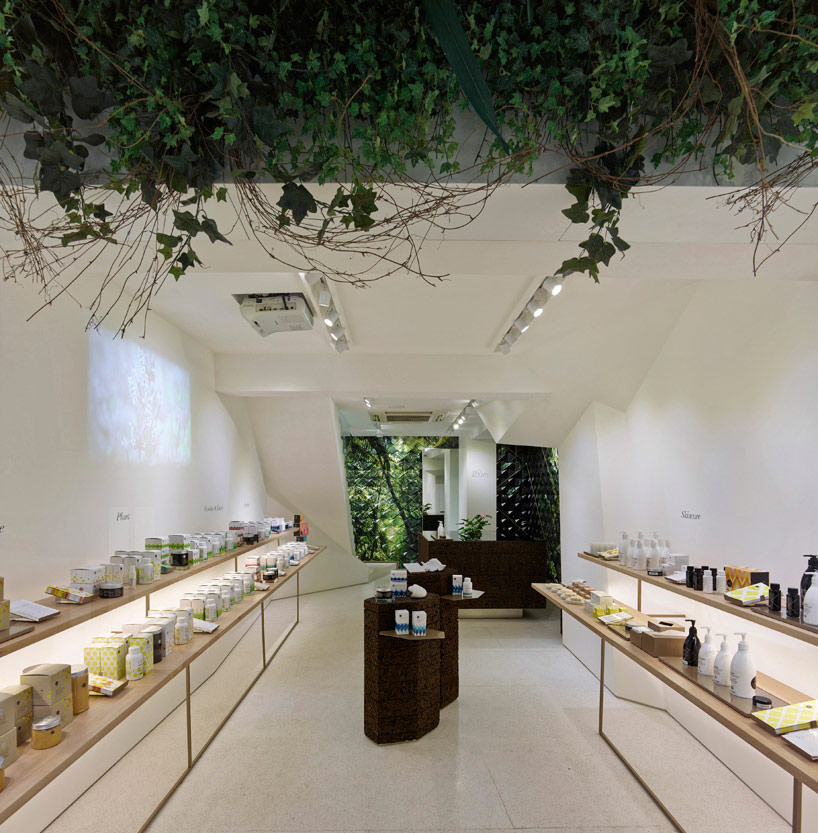 three dogs design NZ wild bounty flagship store in hong kong