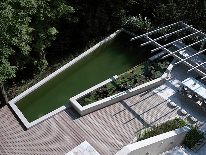 fletcher studio blend zurich biopool into an ecological oasis