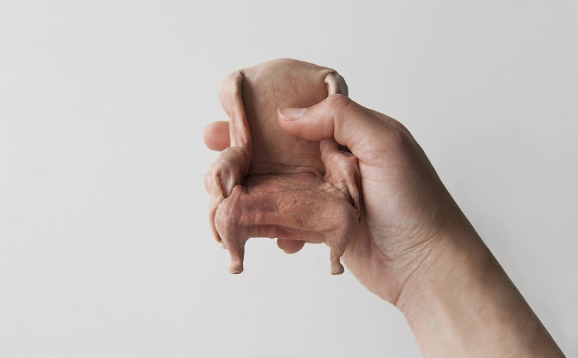 sculpted skin furniture by jessica harrison