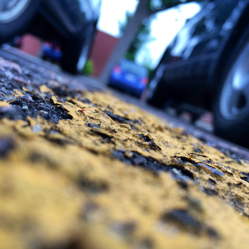 ant's eye view imagines the vantage point of insects