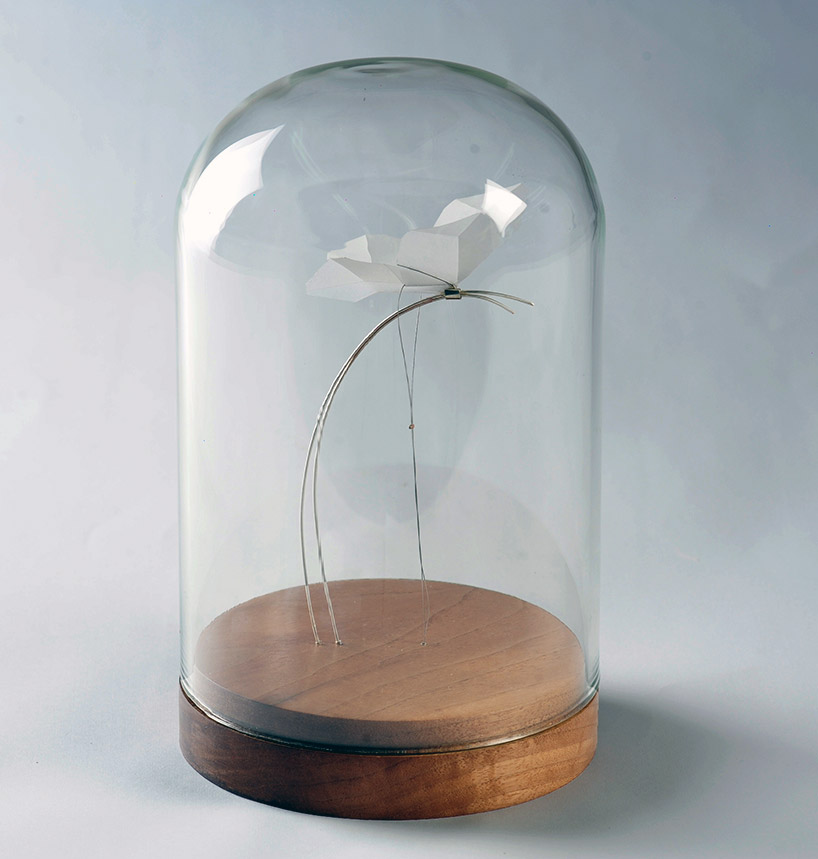 daniel sher's objects strengthen long distance relationships