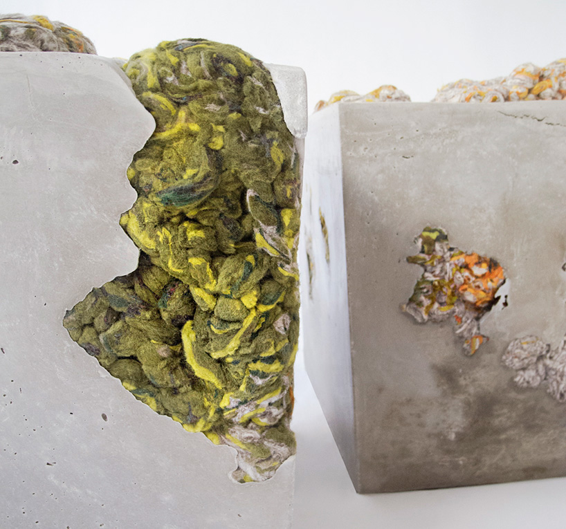dana barnes references lichen life for endolith casts seating series