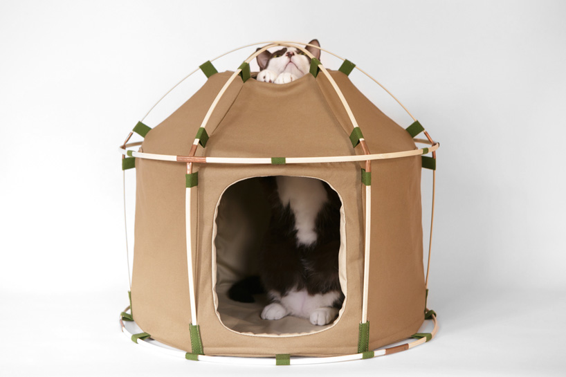 pitch your pet the perfect abode with the cat study house
