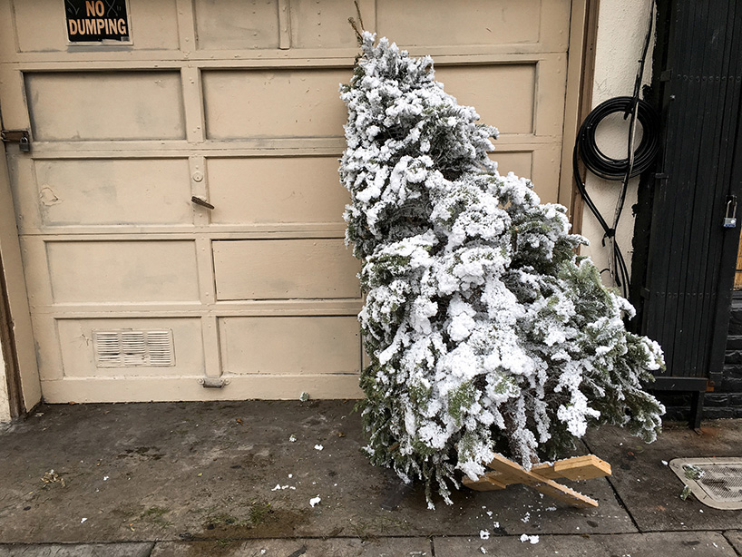 wei keong final days of discarded christmas trees