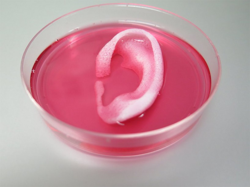 scientists produce functioning 3D printed replacement tissue