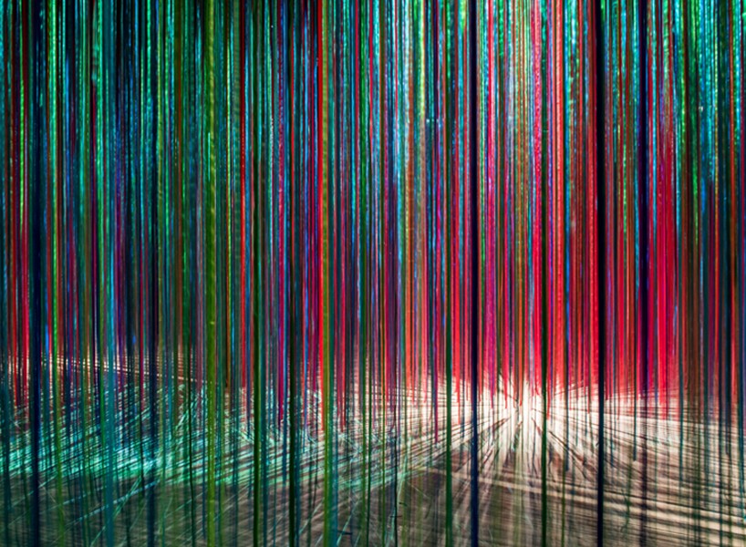 anne patterson blurs the five senses in pathless woods installation