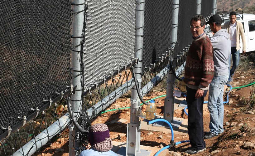CloudFisher turns fog into drinking water in morocco