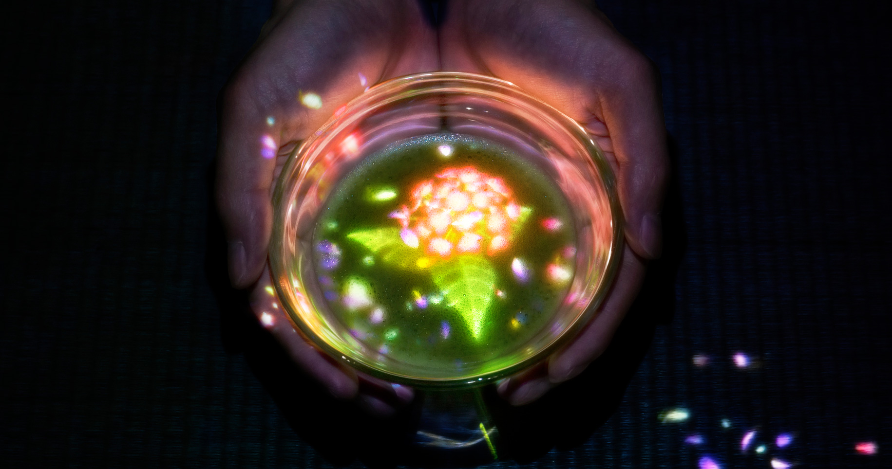 virtual vegetation: teamlab brings blossoming green tea to maison et objet