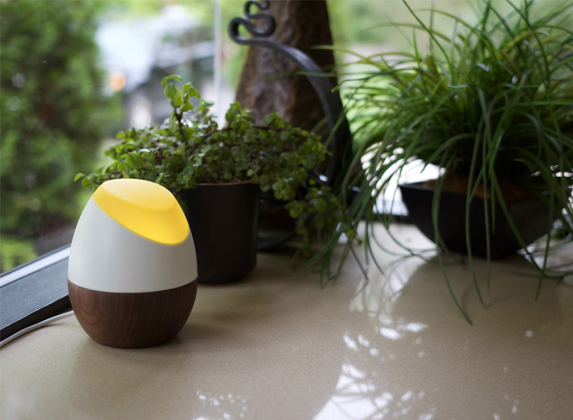 potential labs' glow smart energy tracker reduces electricity bills