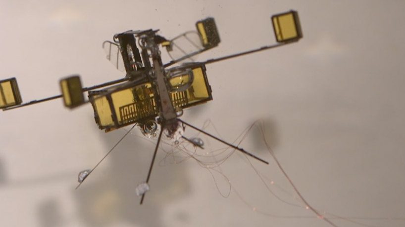 harvard's robobee has two wing-flapping speeds in air and out of water