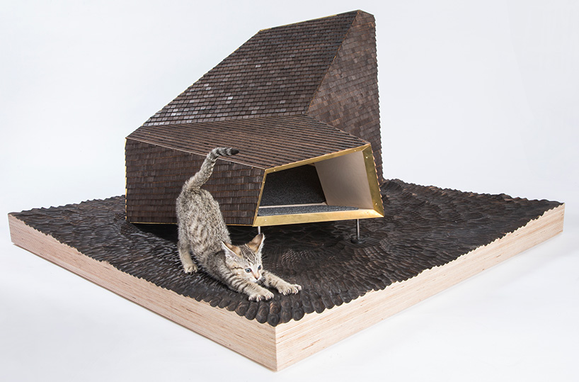 kitty living: LA's top architects design stylish shelters for cats