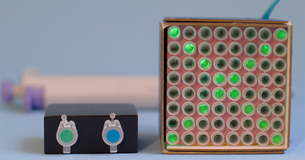 play tetris with biological pixels made from jellyfish DNA
