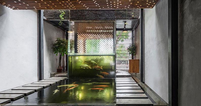 farming studio employs urban agriculture within a koi inspired cafe