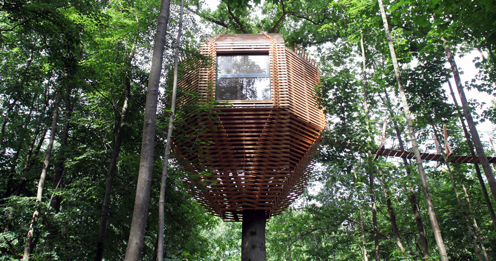 the ORIGIN tree house by atelier LAVIT is a secluded forest retreat