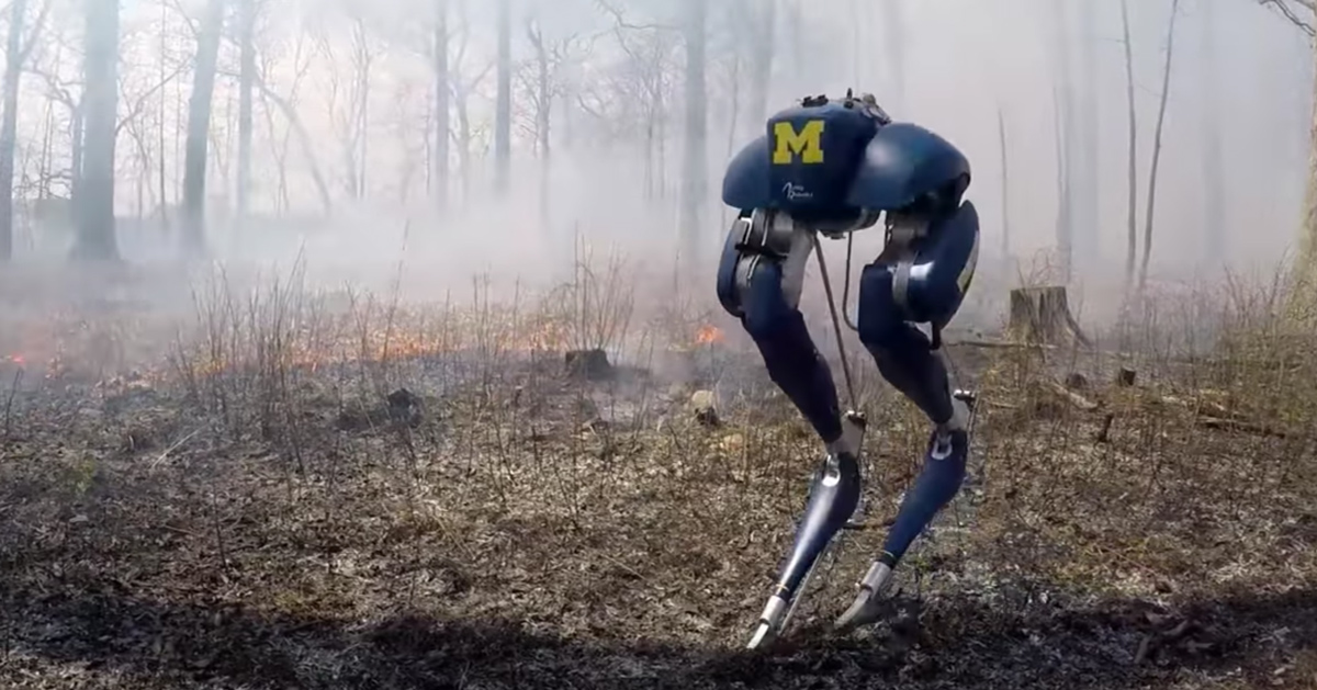 cassie the ostrich-inspired bipedal robot invites robotic dog to dance