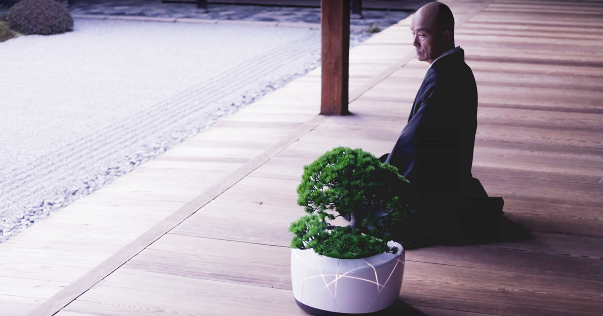 bonsAI is the smart robotic pet, agony aunt and trendy plant all in one