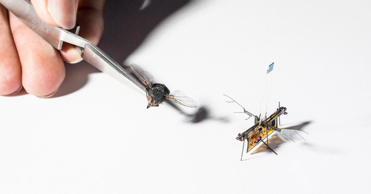 the first wireless flying robotic insect takes off powered by laser beams