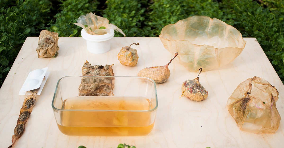 roza janusz's scoby is a packaging material that grows like vegetables