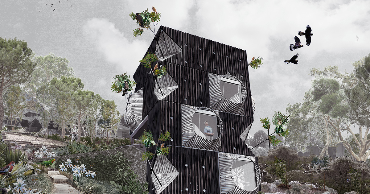 an ornithologist's dream: this home is entirely engineered around bird ...