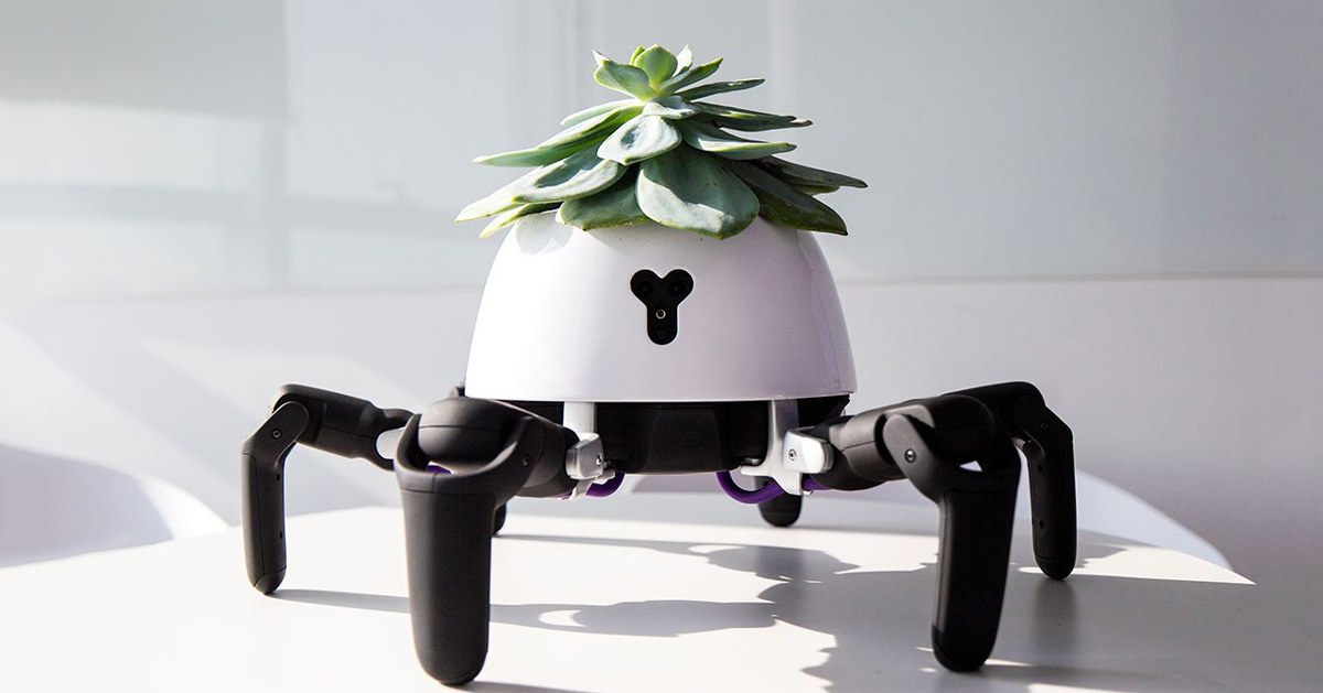 HEXA the six-legged robot plant chases the sun to look after its succulent