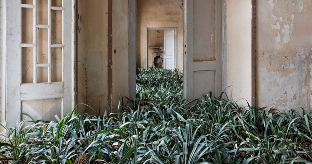 gohar dashti offers a solemn view of a speculative post-war 'home'
