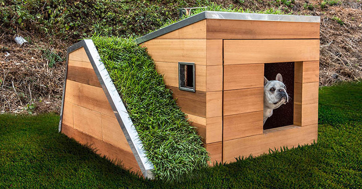 this doggy dreamhouse features a green roof, by studio schicketanz