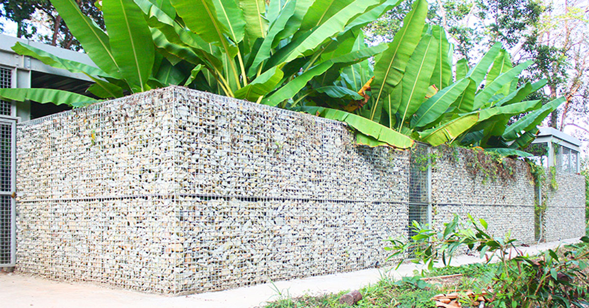 atelier cole constructs gabion walls to create bear sanctuary in ...