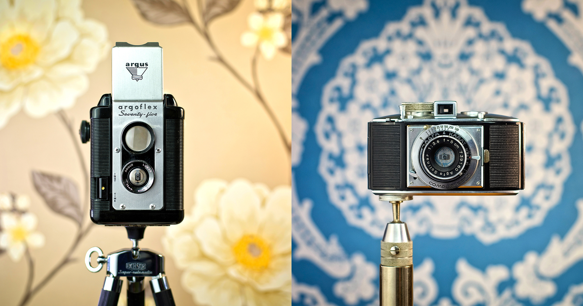 these exotic cameras take sexier selfies than we do