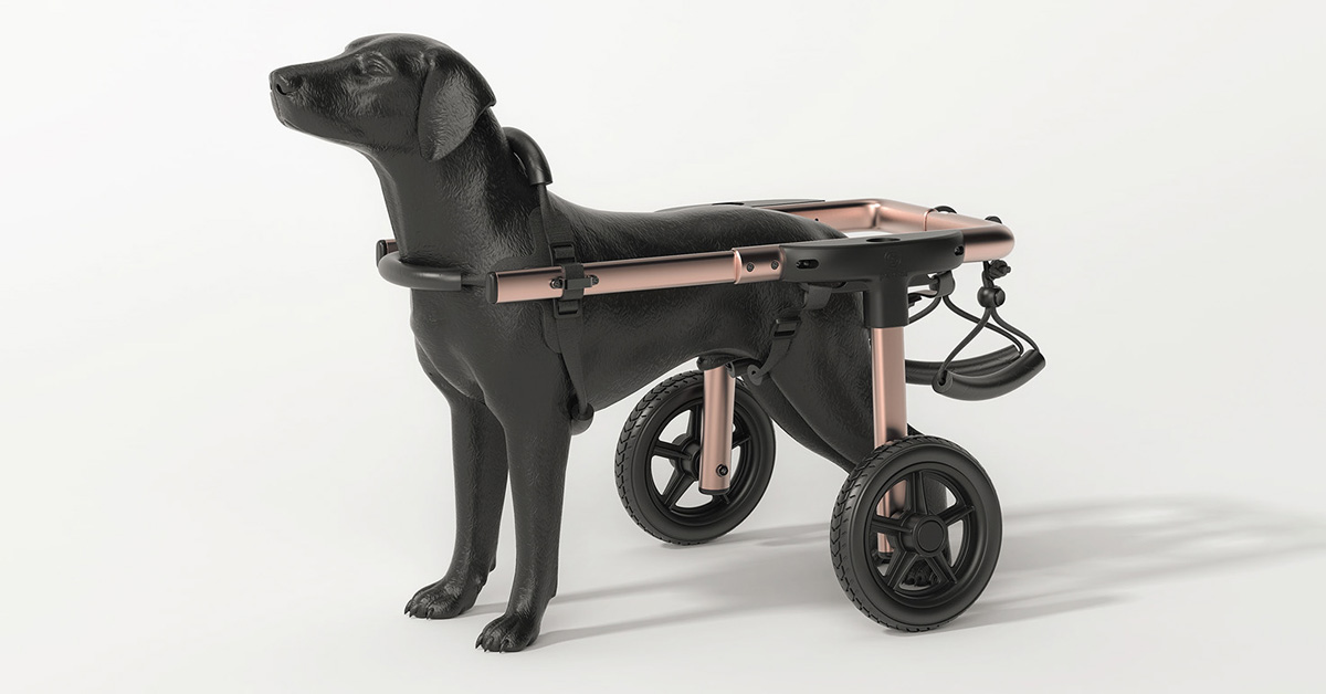 hs2 studio designs pet wheelchair for dogs with hindlimb disorders