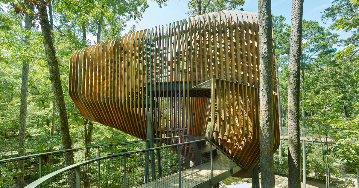 modus studio sculpts native pine ribs into evans tree house in arkansas