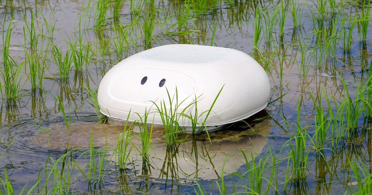 nissan builds robot duck to help rice farmers clear paddies of weeds