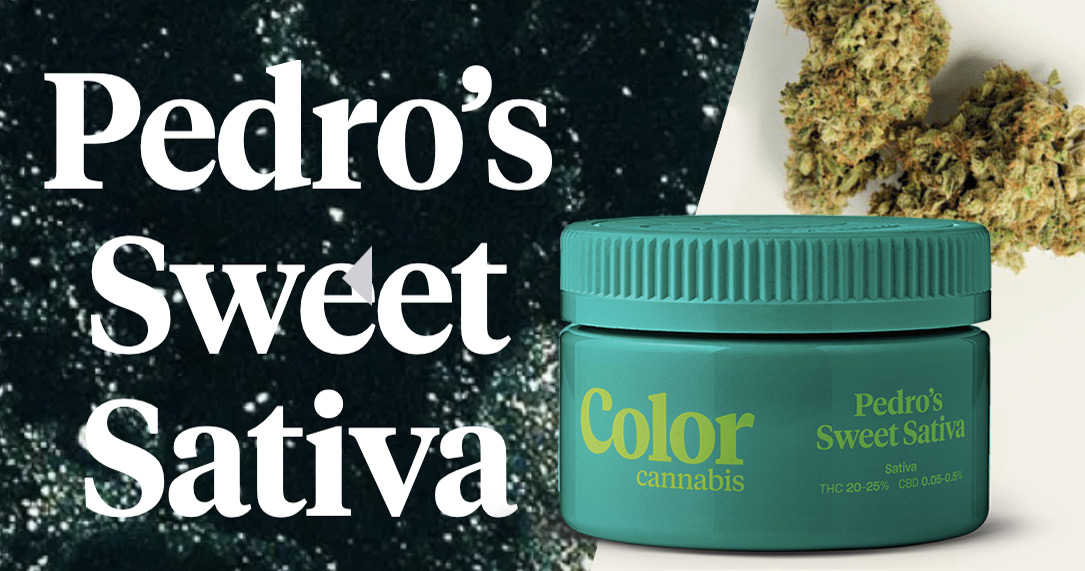 color cannabis conjures memories to modernize society's monochromatic ...