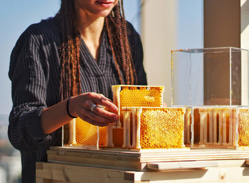 Urban Beekeeping Kit Budget Beekeeping Starter Kit Package – Buzzbee