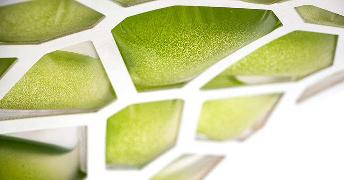 aerium changes airplanes' structure into a performative biological system