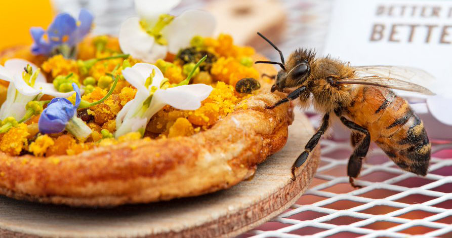 these miniature pizzas for bees are making a buzz for biodiversity