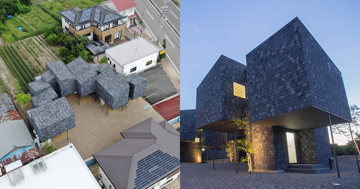 1-1 architects raise apartment building on branch-like columns in japan