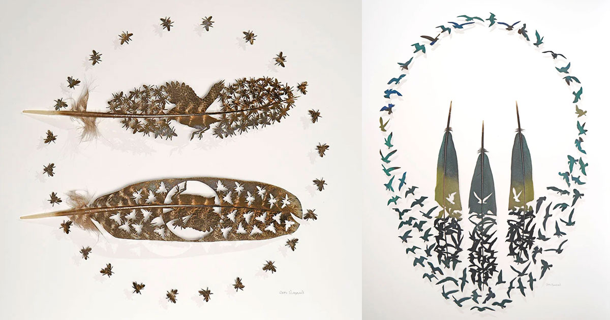 chris maynard carves real bird feathers into intricate artworks